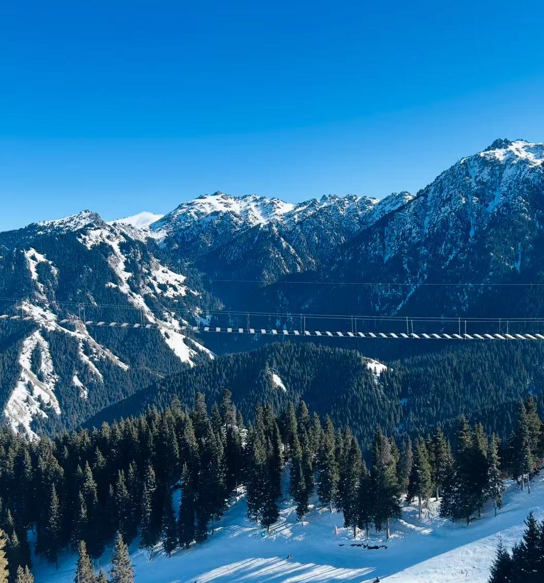 Skibidi origin and meaning – Mushroom Education